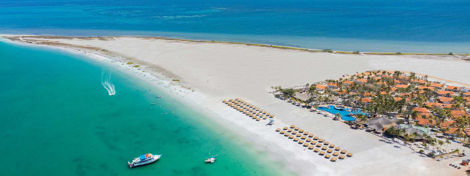 10 Datos Curiosos De La Isla De Coche • Venezuela1811