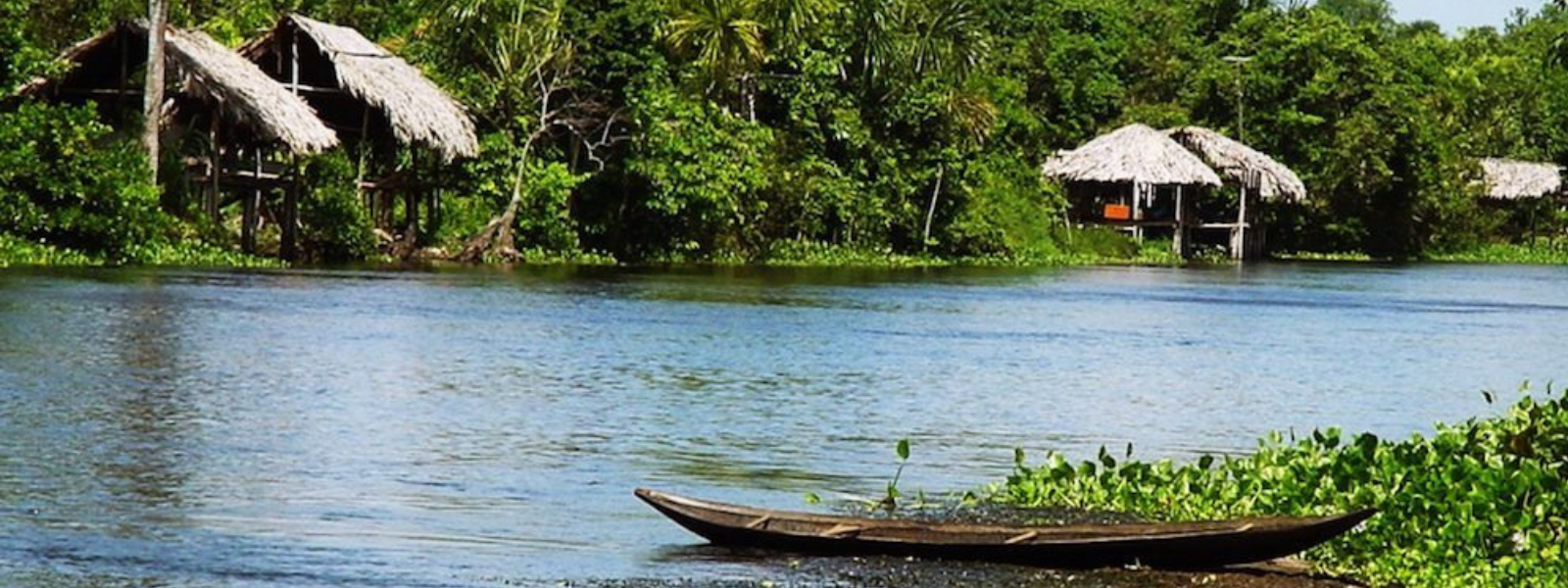 Aventura en el Delta del Orinoco: Lo Mejor de la Naturaleza Venezolana